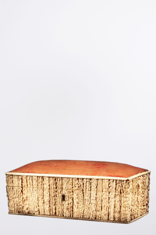 Taxidermy Antler box