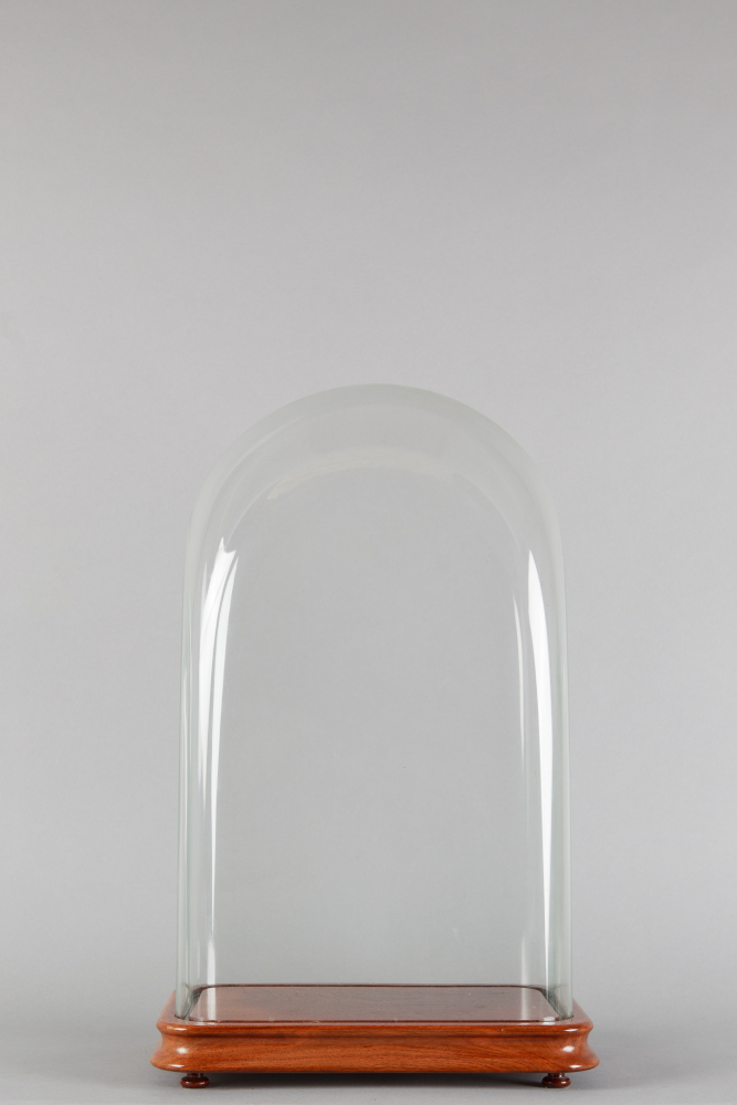 Taxidermy Square Sided Glass Dome