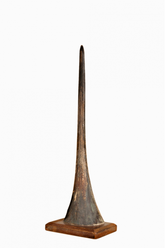 Swordfish rostrum circa 1920